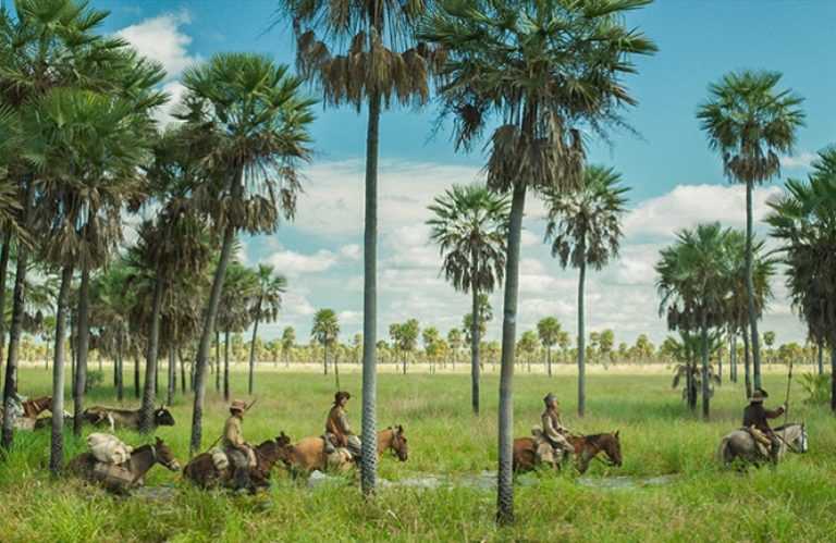 Zama | Oklahoma City Museum of Art | OKCMOA