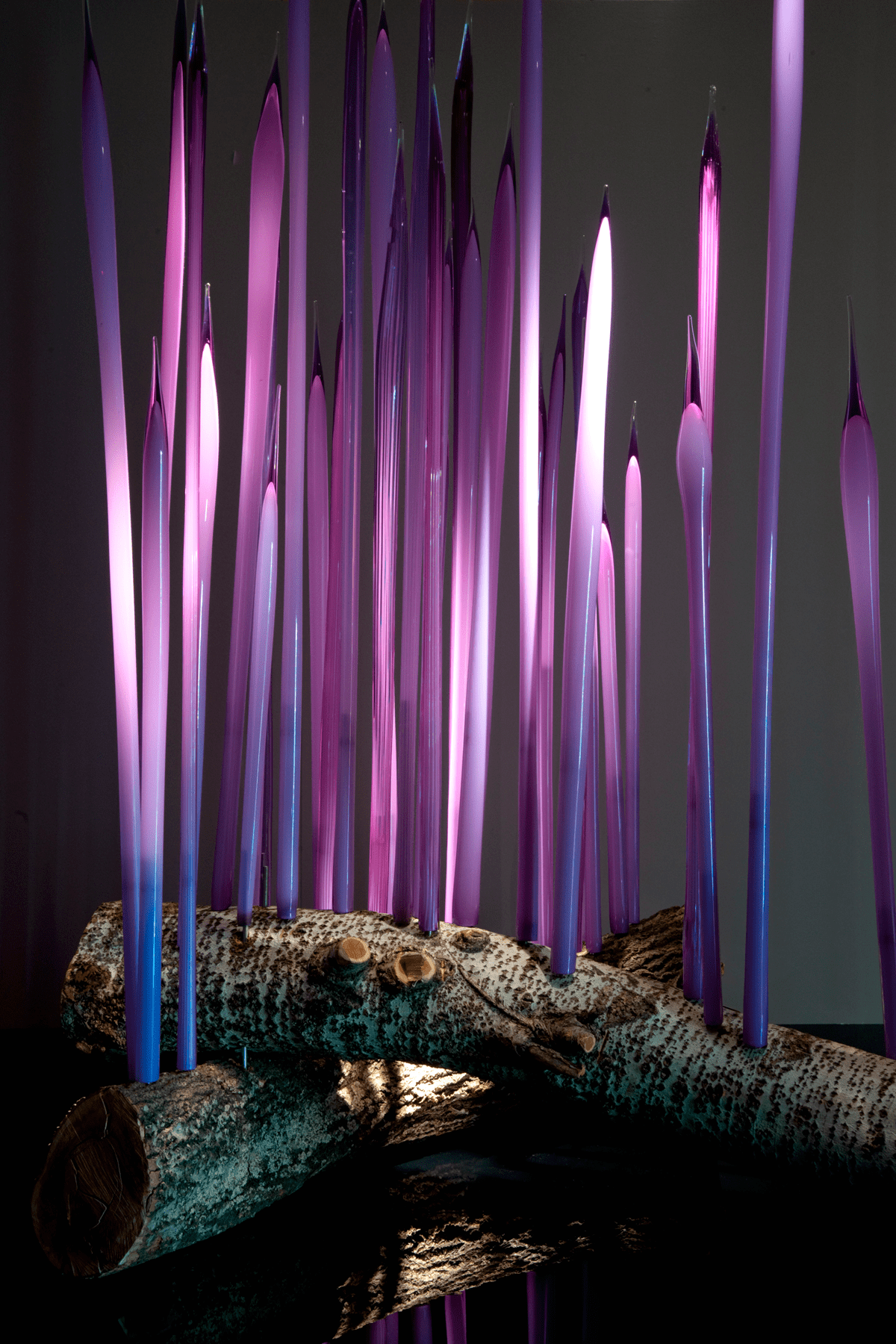 Behind-The-Scenes With Dale Chihuly | Oklahoma City Museum of Art | OKCMOA